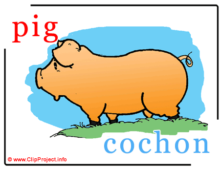 Pig - cochon abc image dictionnaire anglais francais - Abc dessin ...