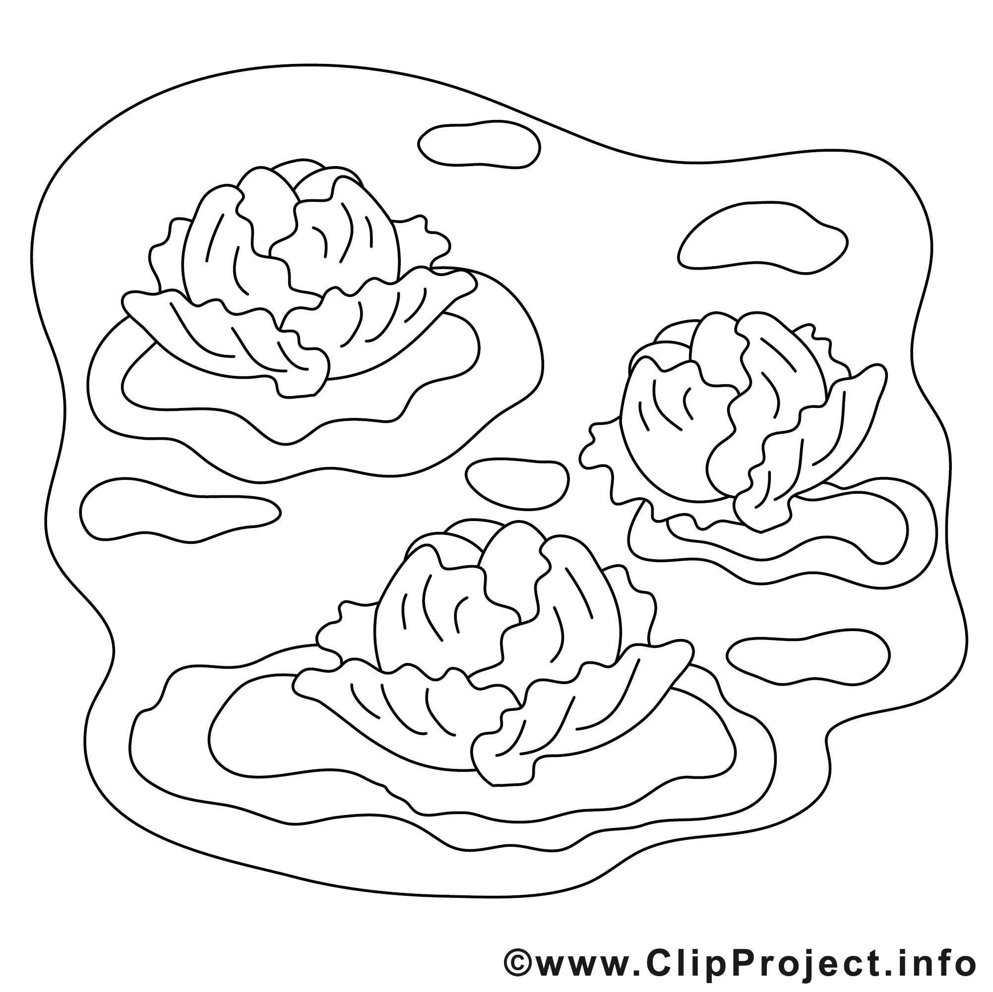 Choux dessin – Campagne gratuits à imprimer - Ferme coloriages dessin ...