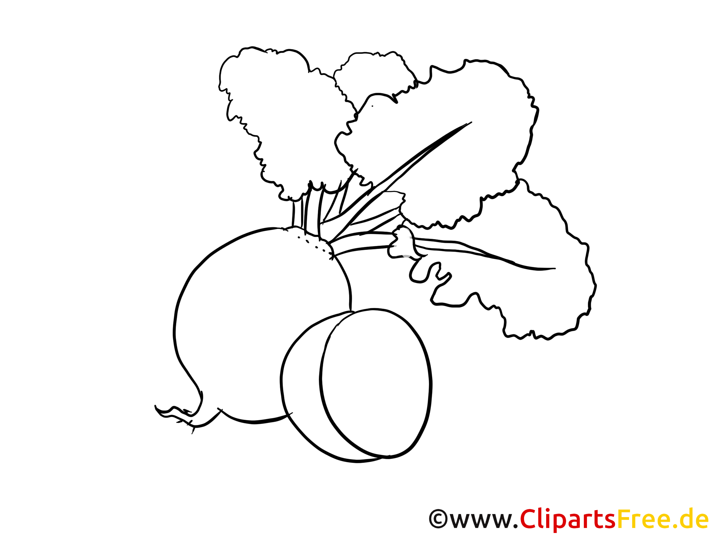 Navet clip art gratuit – Légumes à imprimer - Légumes coloriages dessin ...