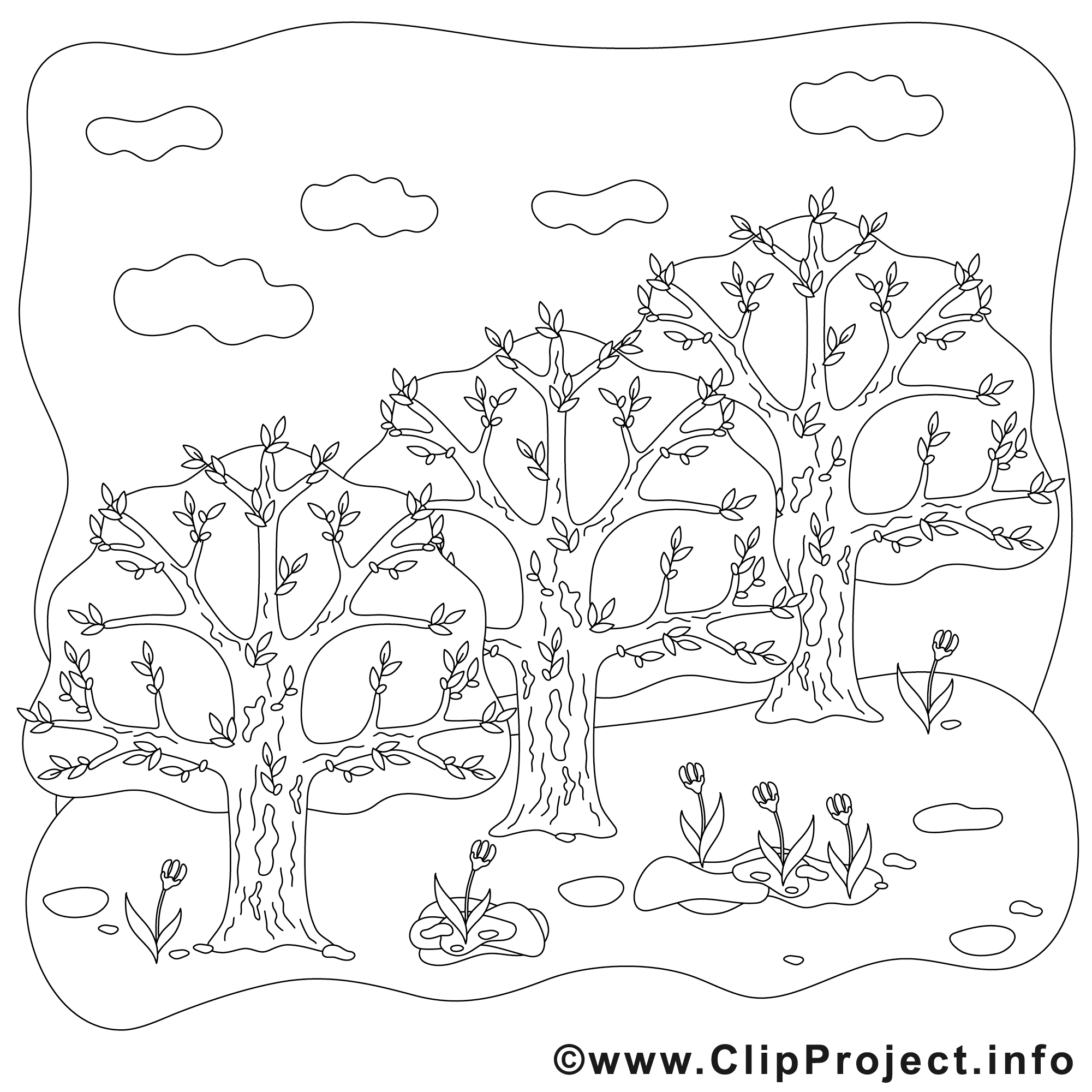 Arbres dessin gratuit – Printemps à colorier - Printemps coloriages ...
